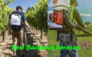 11 Best Backpack Sprayers for All Time | Review & Buyer’s Guide 2023 ...
