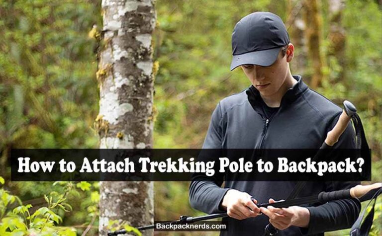 How to Attach Trekking Pole to Backpack [from Practical Experience ...