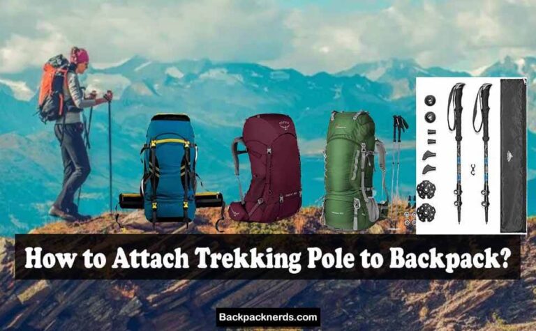 How to Attach Trekking Pole to Backpack [from Practical Experience ...