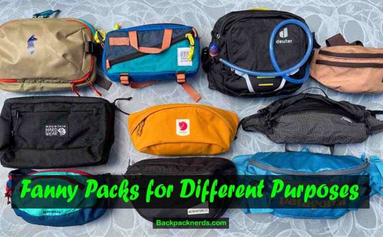 101 Fanny Packs for Different Purposes in 2025 - Backpack Nerds