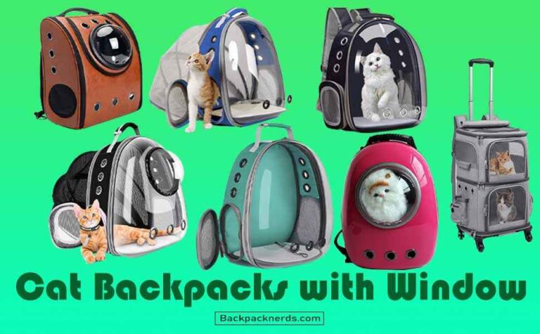 9 Best Cat Backpacks with Window of 2025 - Backpack Nerds
